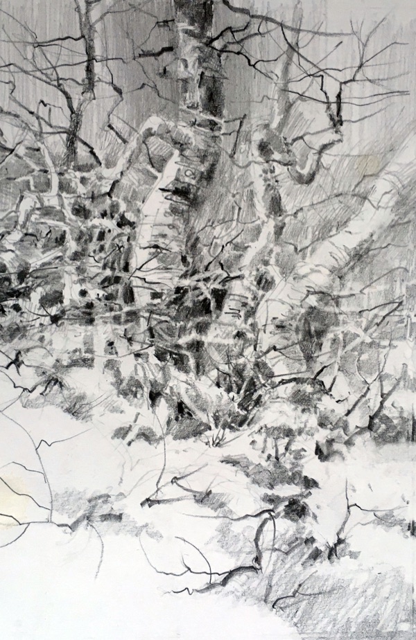 Carl Purcell | Instructors